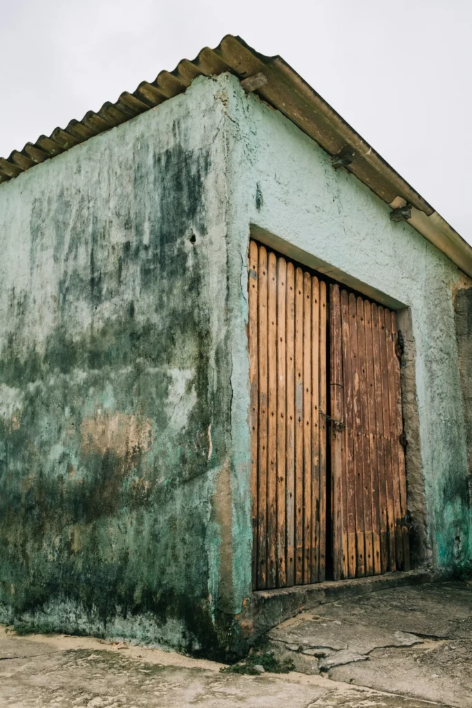 Non-Toxic Black Mold In Homes: Prevention, Identification, And Treatment
