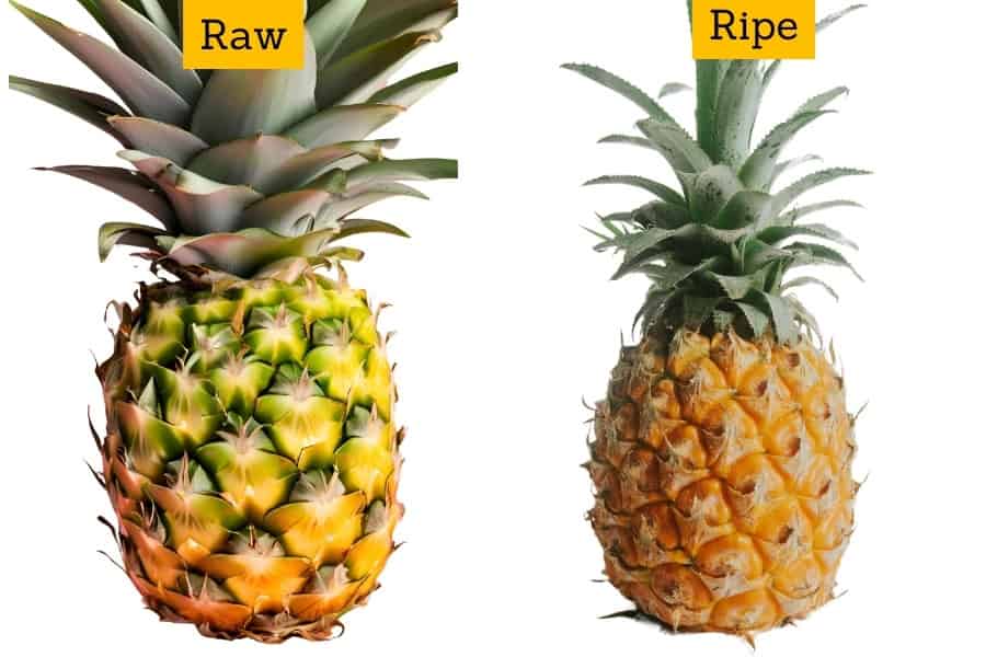 When Is Pineapple Season? A Guide To This Tropical Delight — Ecowiser