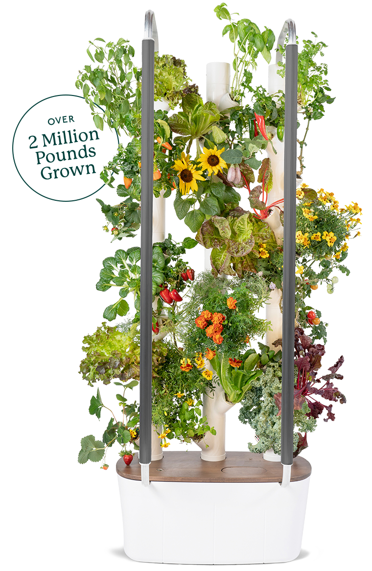 Top 5 Indoor Hydroponics for City Gardeners: Expert Picks