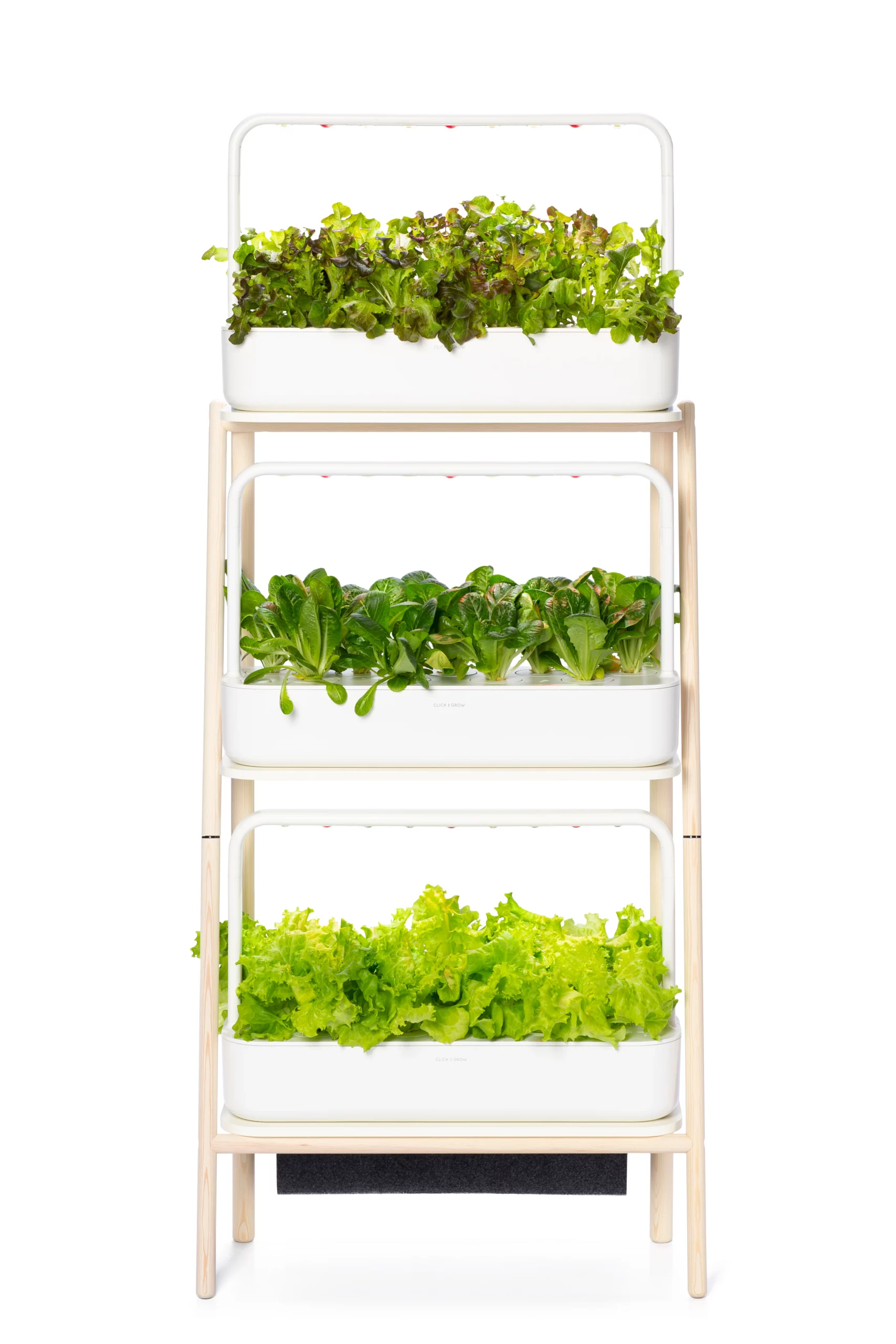 Top 5 Indoor Hydroponics for City Gardeners: Expert Picks