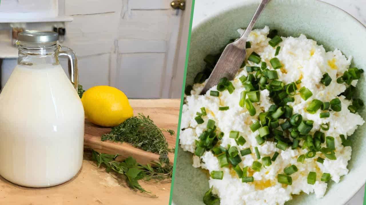 How To Make Cottage Cheese At Home In 3 Simple Steps — Ecowiser