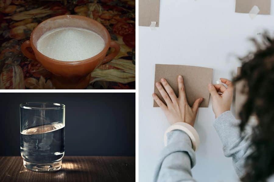 5 Effective DIY Moth Traps For Your Home: Kitchen, Pantry, And Clothing ...